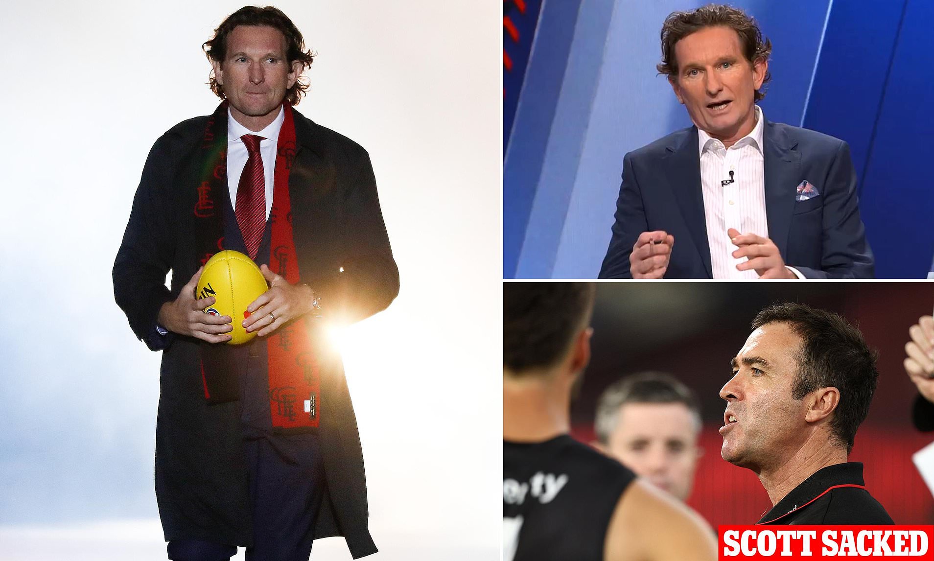 James Hird wants to coach Essendon again after his role in drugs ...