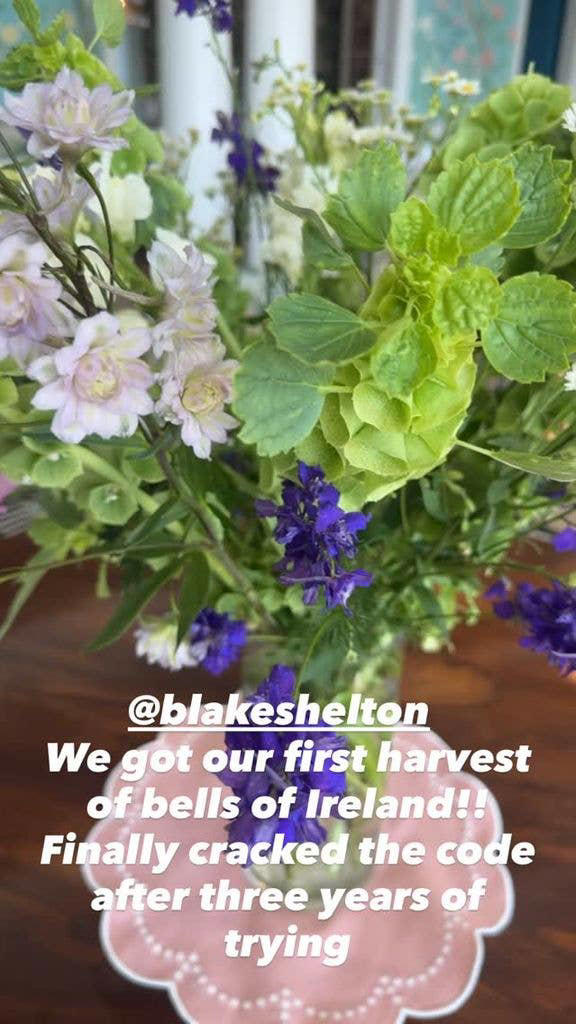 Gwen Stefani celebrates life update with Blake Shelton amid divided ...