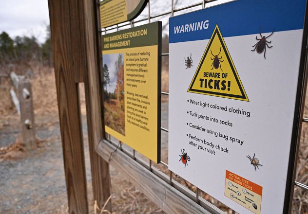Tick bite ER visits are climbing as peak season approaches