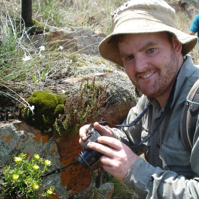 SANBI 'in denial' over neglect at Kirstenbosch Botanical Gardens ...