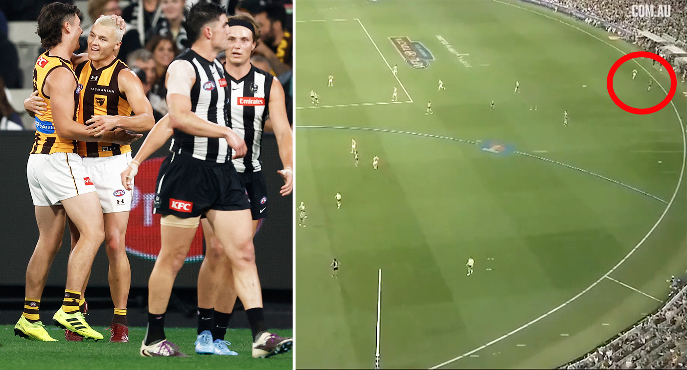 AFL makes decision on calls for Hawthorn to be stripped of points and ...