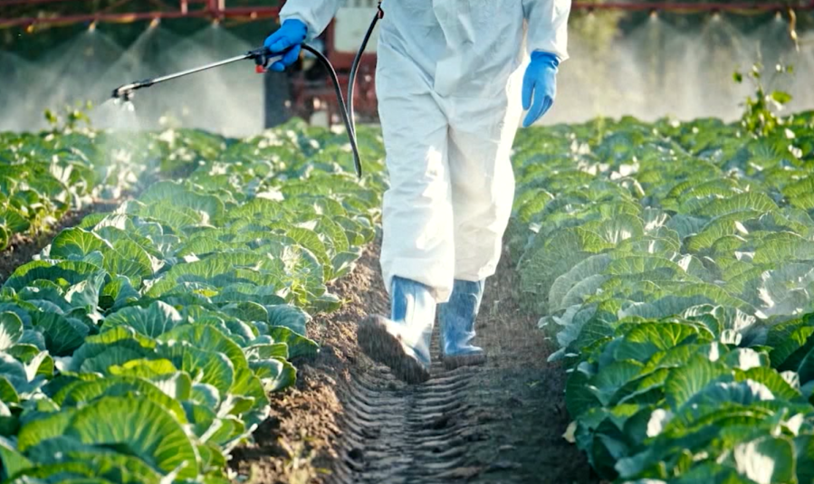 Vermont bans pesticide paraquat, linked to Parkinson’s