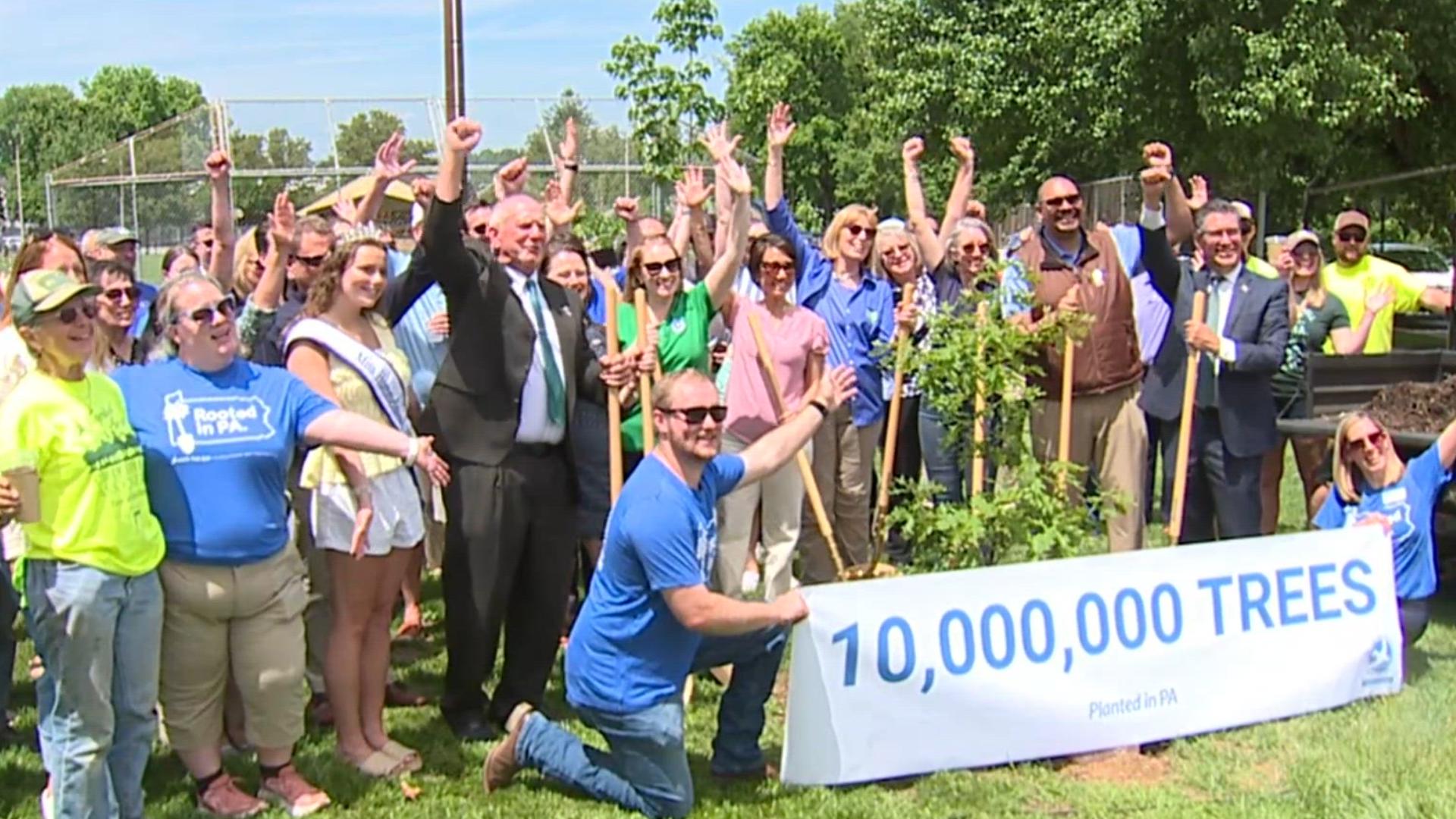 Keystone 10 Million Trees Partnership plants its 10 millionth tree