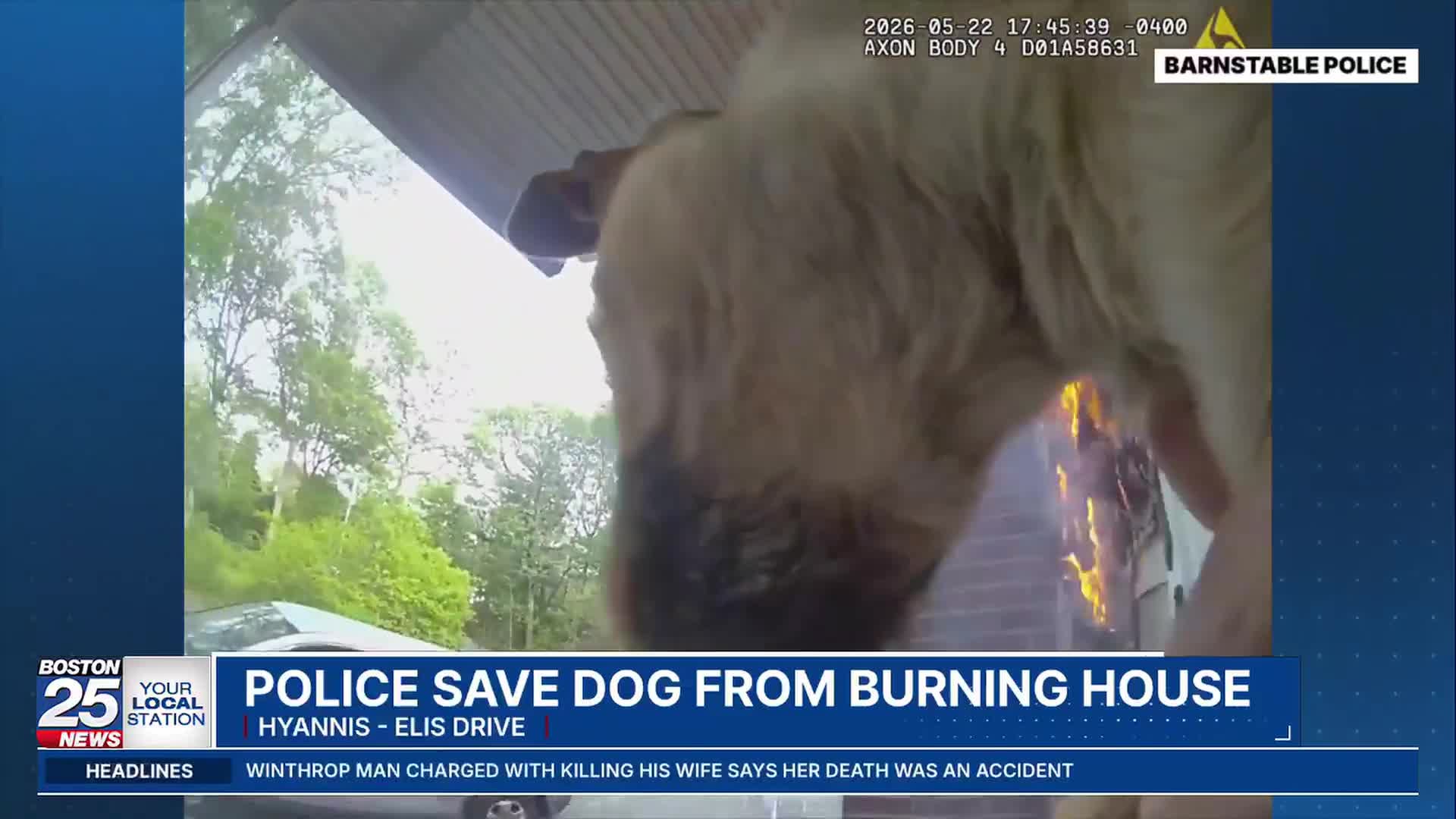Watch: Pup named Scooby rescued from burning Cape Cod home