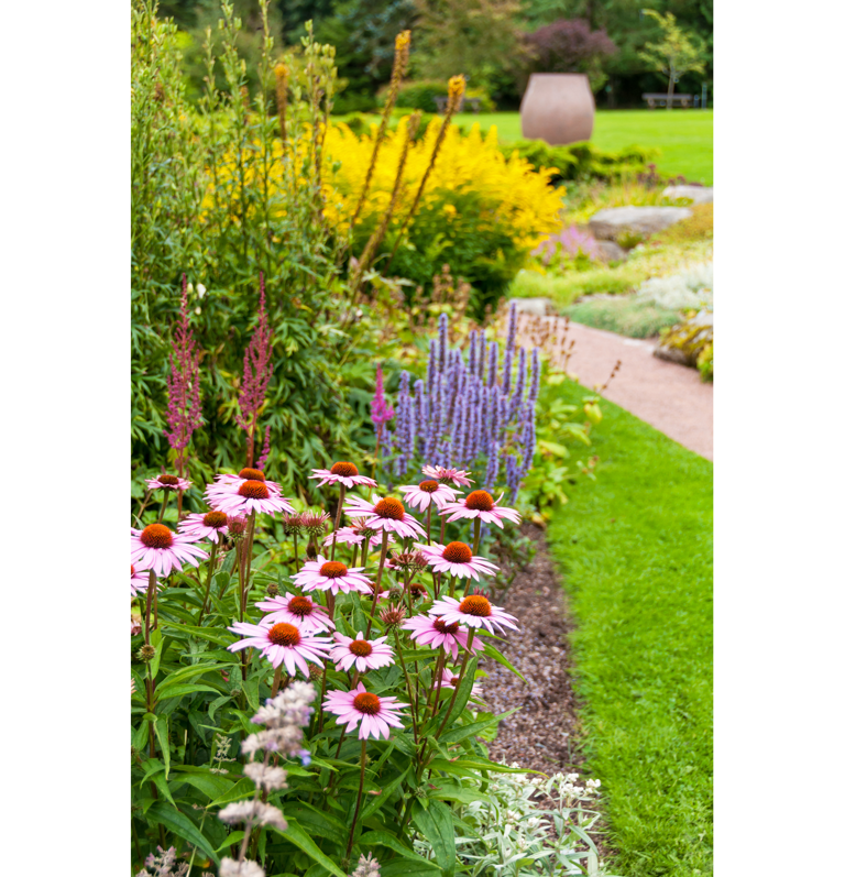 Grow these low-maintenance, full-sun plants for maximum beauty with ...