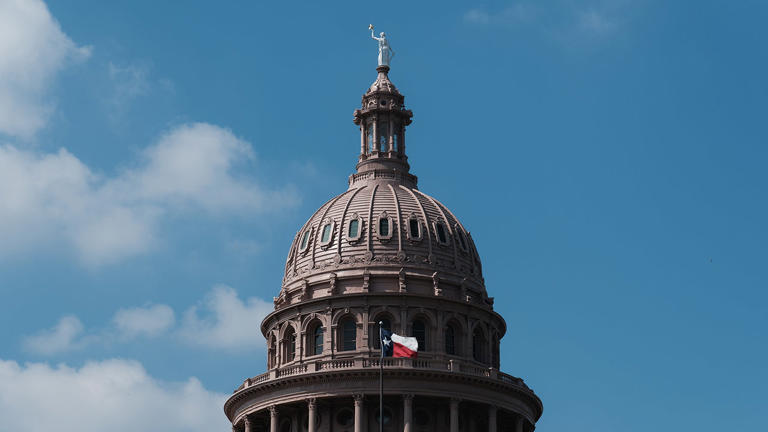 Texas Democrats pick lieutenant governor nominee to challenge GOP ...
