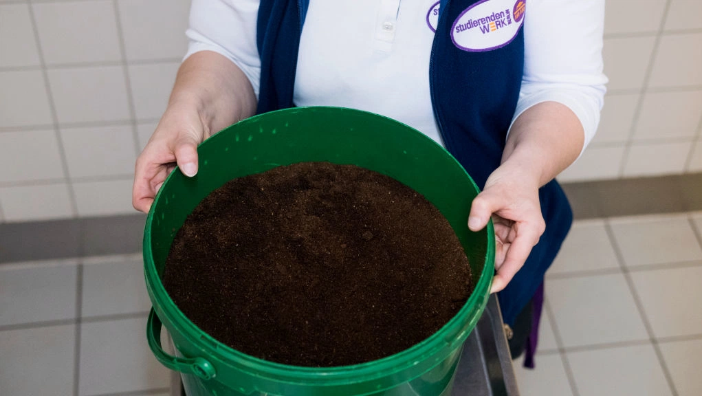 Coffee grounds that make gardens thrive