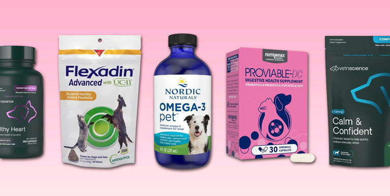 The best dog supplements