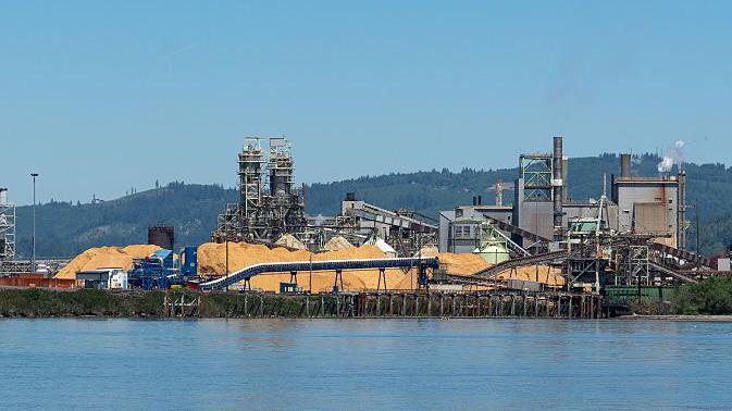 Multiple people killed and others missing after chemical explosion at ...