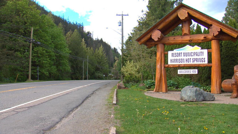 Judge finds former Harrison Hot Springs mayor defamed local real estate ...