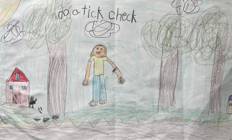 Maine CDC reveals Lyme disease awareness poster contest winners