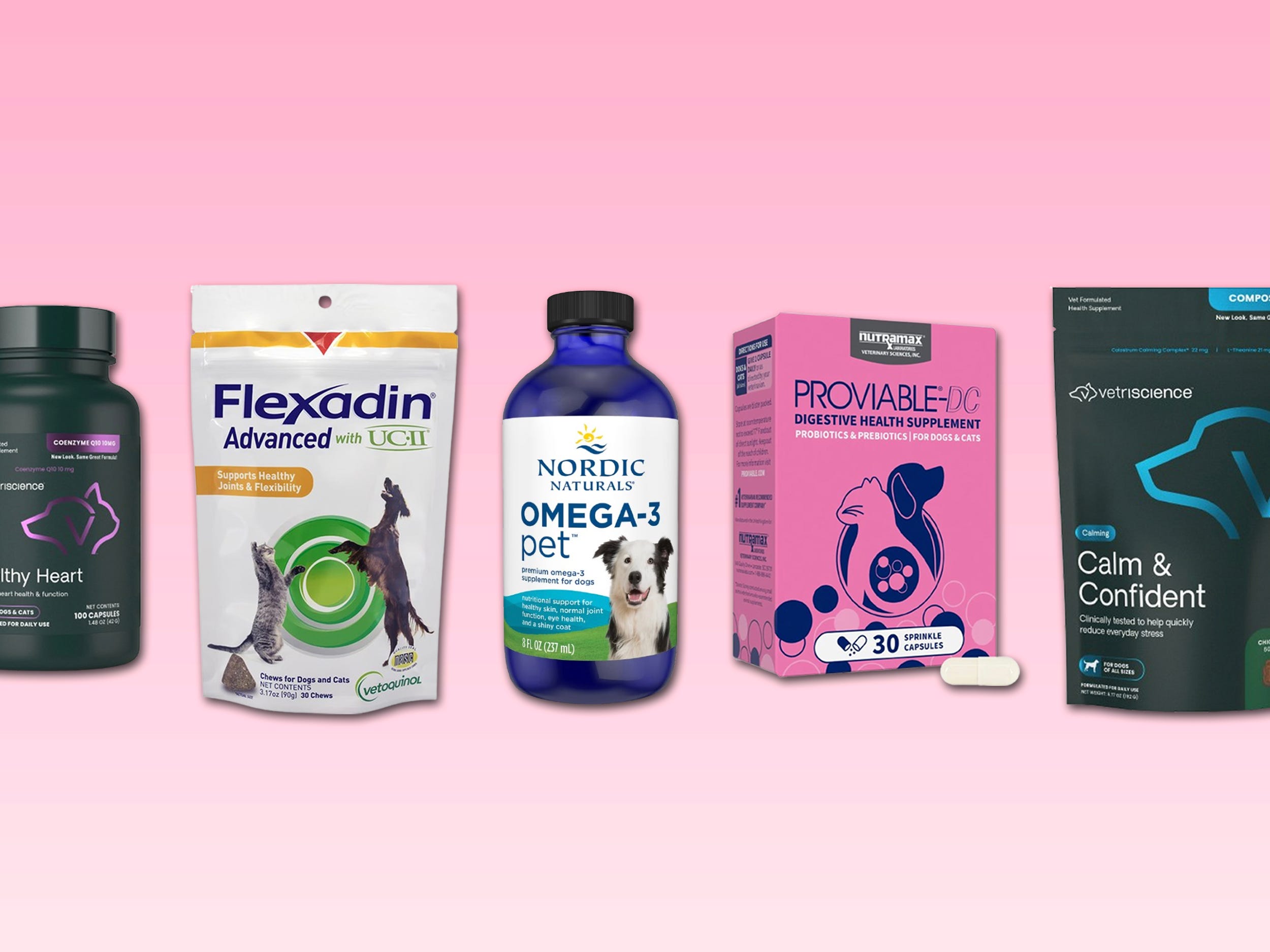 The best dog supplements