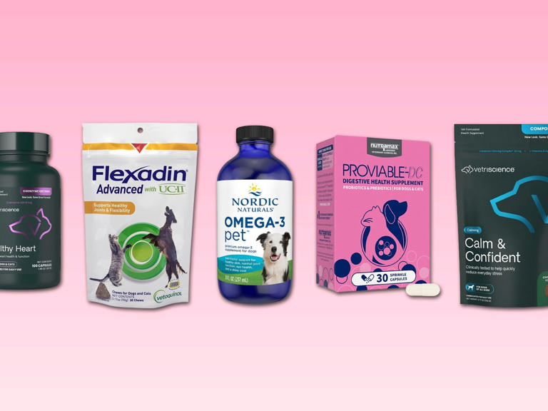 The best dog supplements