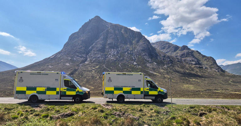 'Venomous' adder attacks hiker walking in Scottish beauty spot