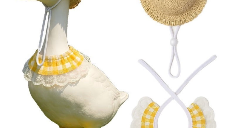 Walmart offers adorable summer outfits for your porch goose starting at ...