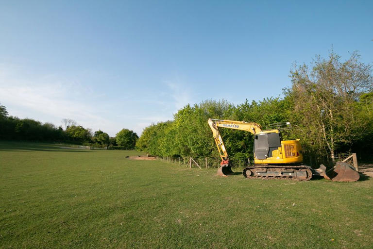Bank holiday carnage as travellers 'tear up fields and cut down trees ...