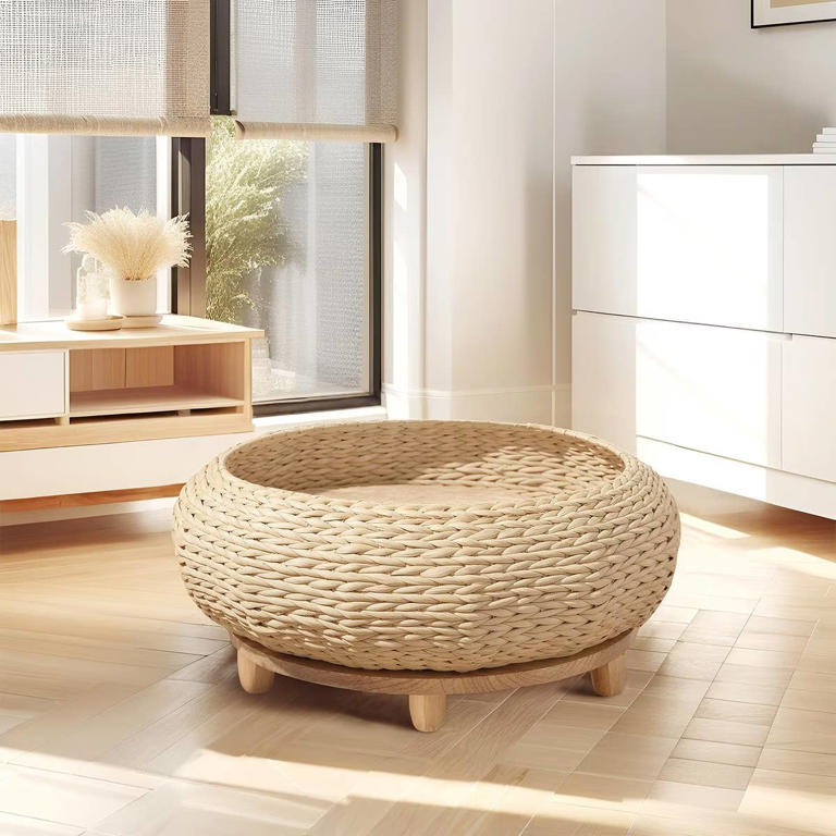 Discover Chewy's stylish woven pet bed: Comfort for cats and small dogs