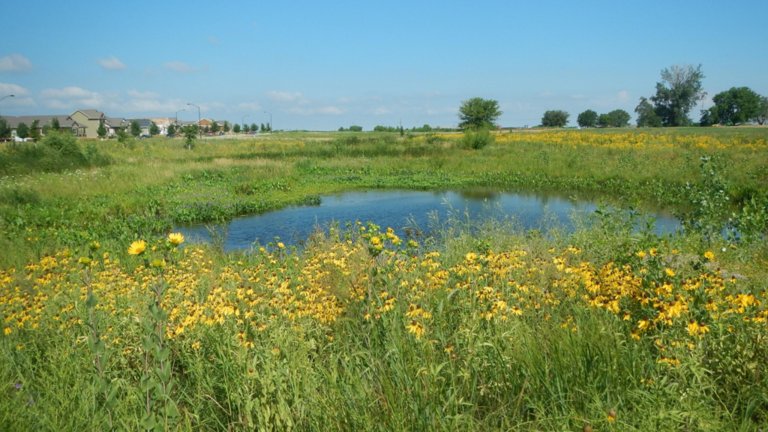 Iowa restores 200 'vanished' lakes to save endangered fish and filter ...
