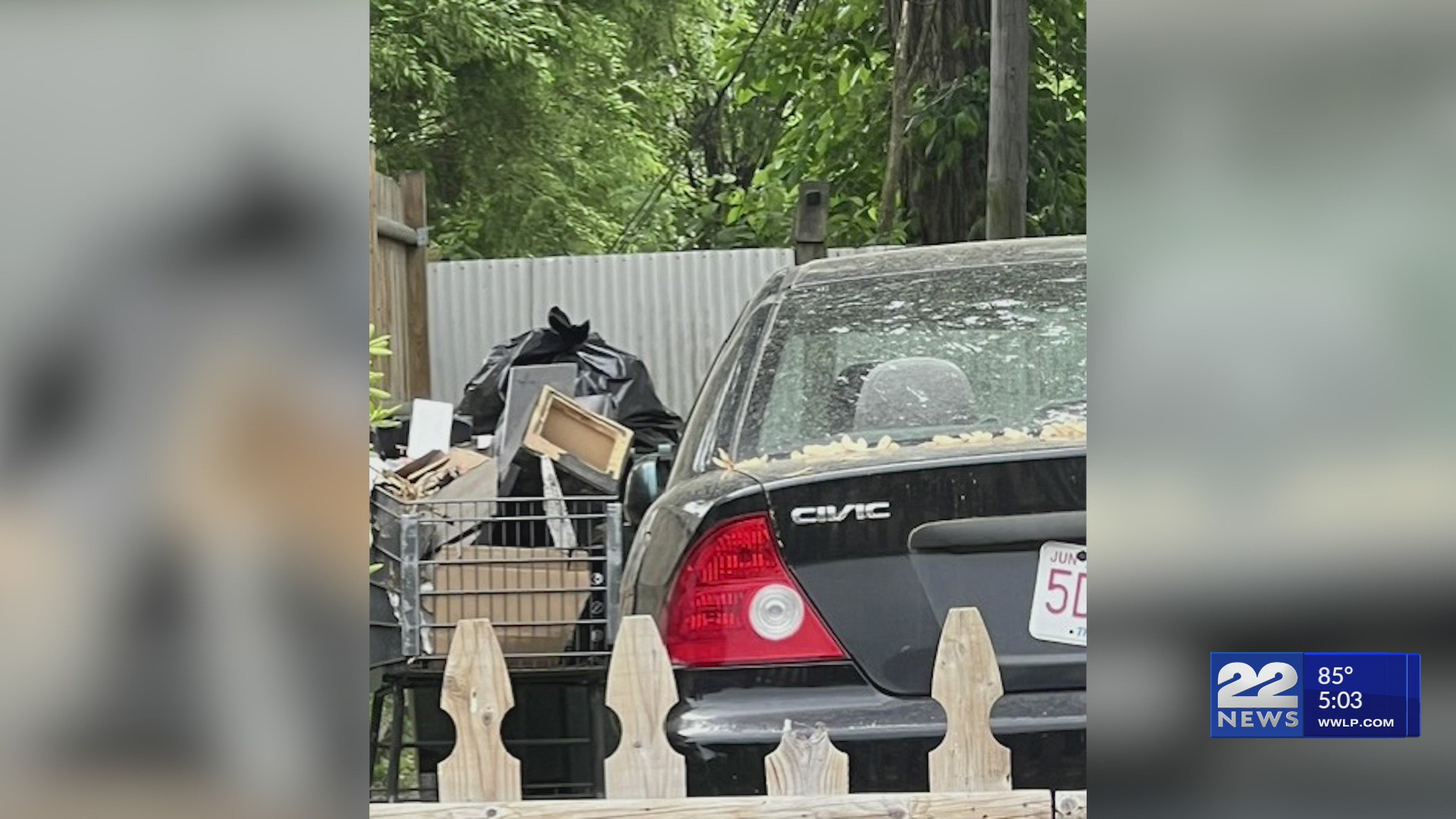 Over 50 tickets issued in Springfield's North End sweep