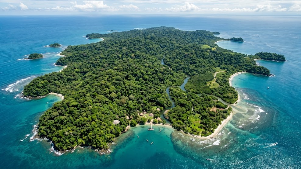 4,000 deadly snakes took over this Brazilian island - then the ...