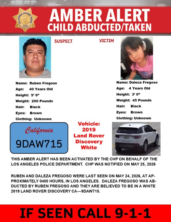 Surveillance images emerge of man sought in violent LA death and child ...