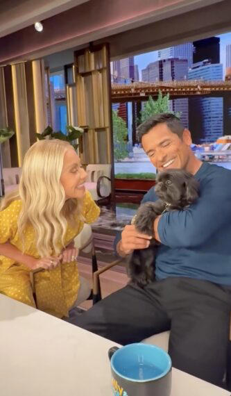 Kelly Ripa details 911 drama after accidentally locking dog in car