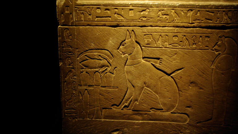 Why ancient Egyptians were obsessed with cats