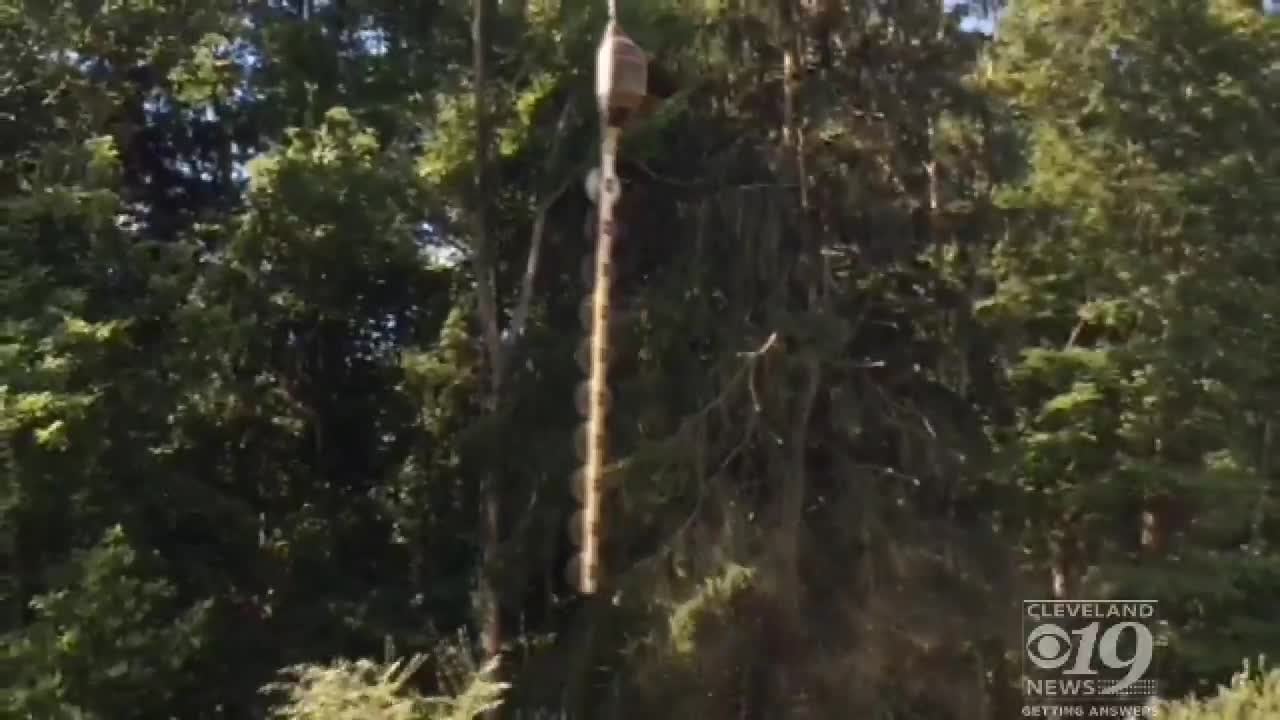 Heads up! Helicopter flying chainsaw to cut trees along Ohio Turnpike