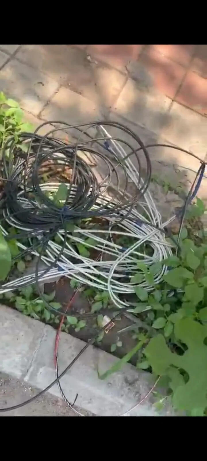 Loose wire on road turns engagement day into day of mourning for ...
