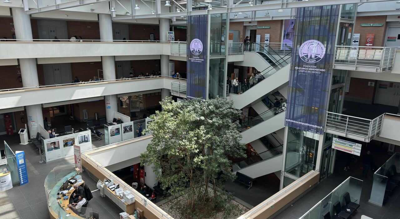 Campus Bio-Medico, più di un milione di prestazioni sanitarie e circa ...