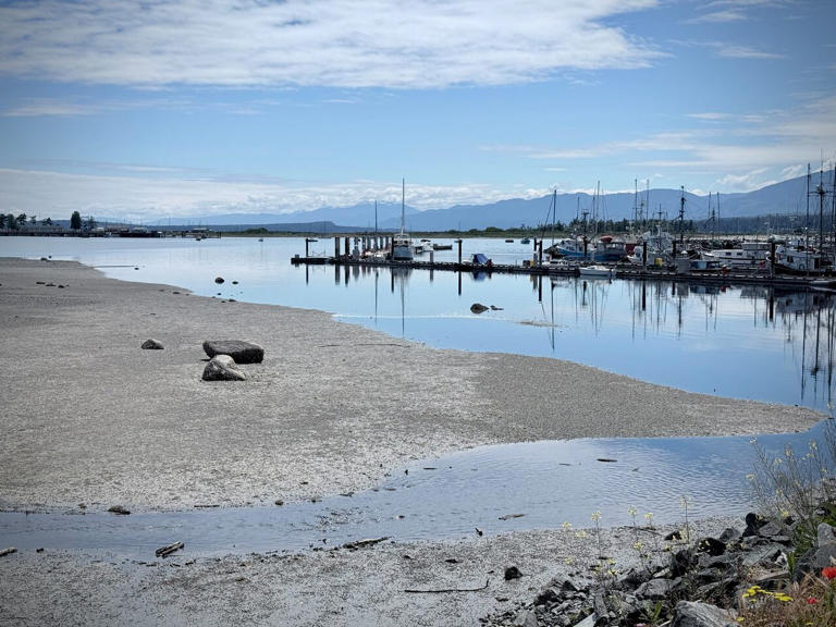 'Do not flush' order issued to more than 43K Comox Valley residents ...
