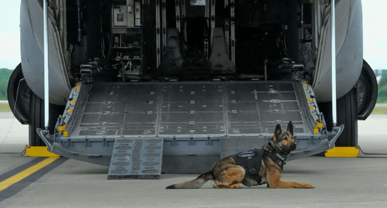 West Springfield K9 Frank receives ballistic vest donation from golf ...