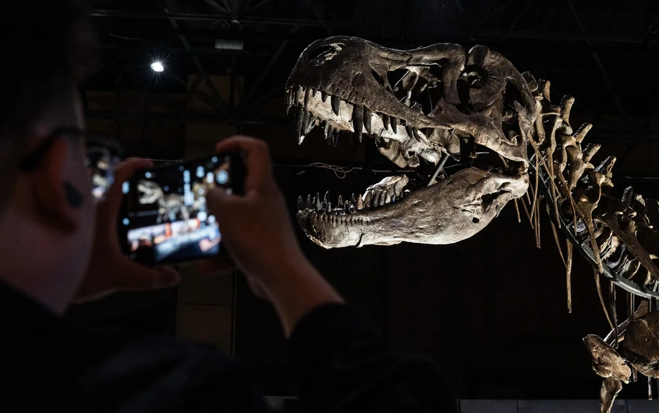 Study links T rex tiny arms to powerful skull evolution