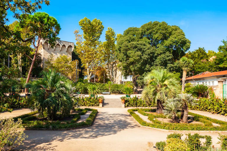 The underrated, beautiful French city most visitors miss