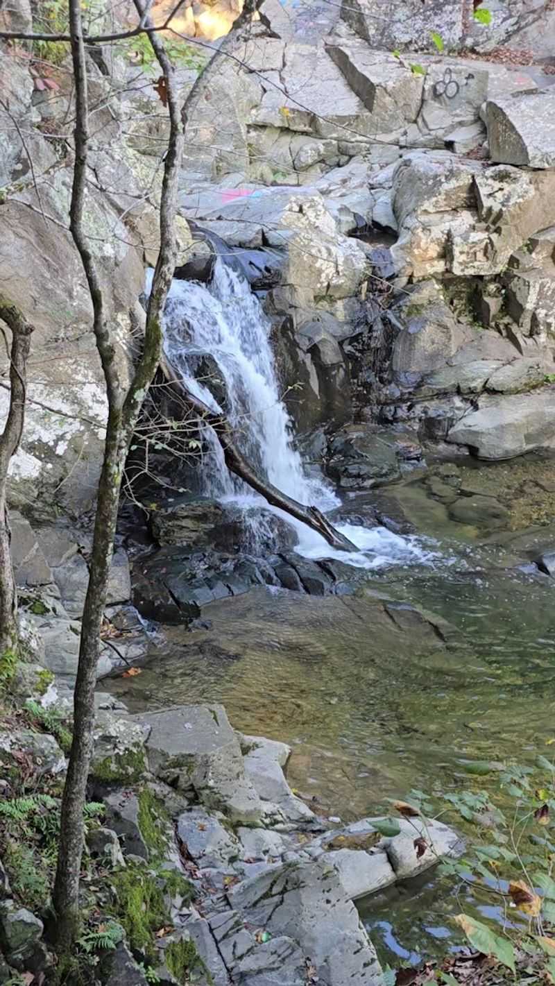The gentle three-mile hike in Virginia that leads you right to a waterfall