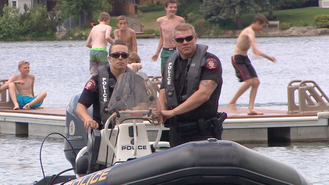Pig cadavers to act as stand-ins for humans in Bow River study by ...