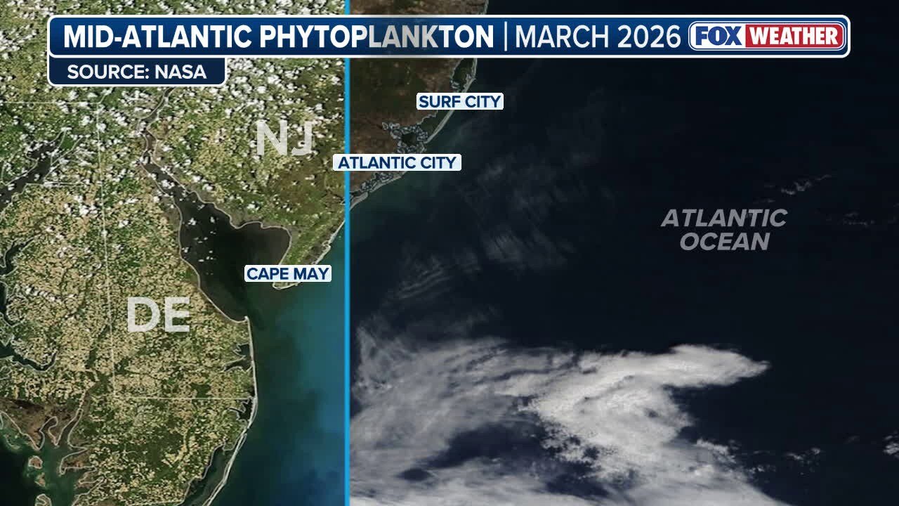 Before and after: Phytoplankton blooms along the Mid-Atlantic coast