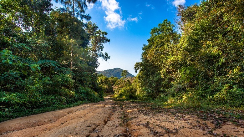 7 scenic, low-key Caribbean destinations for avid hikers
