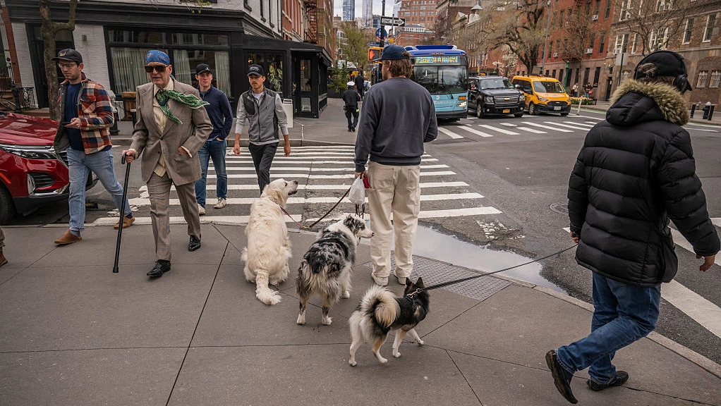 NYC engineer’s luxury dog-walking side hustle nets $6,000 monthly