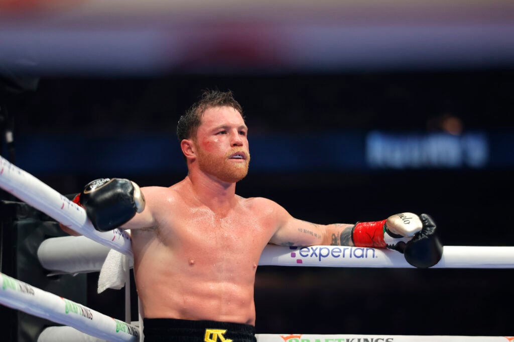 Canelo Alvarez responds to David Benavidez callout with blunt ...