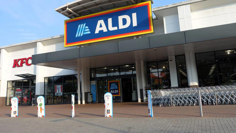Aldi’s $15 chic carry cooler is perfect for summer picnics or poolside ...