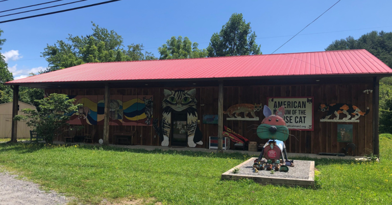 This underrated North Carolina town is packed with personality