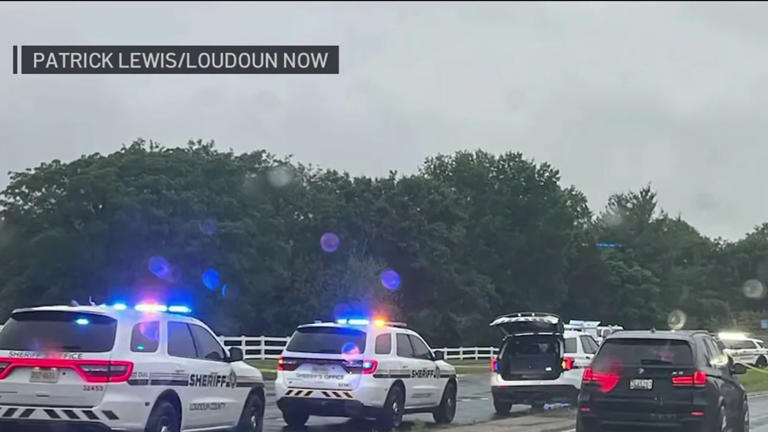 Woman found bleeding in Ashburn road was driven away by partner ...
