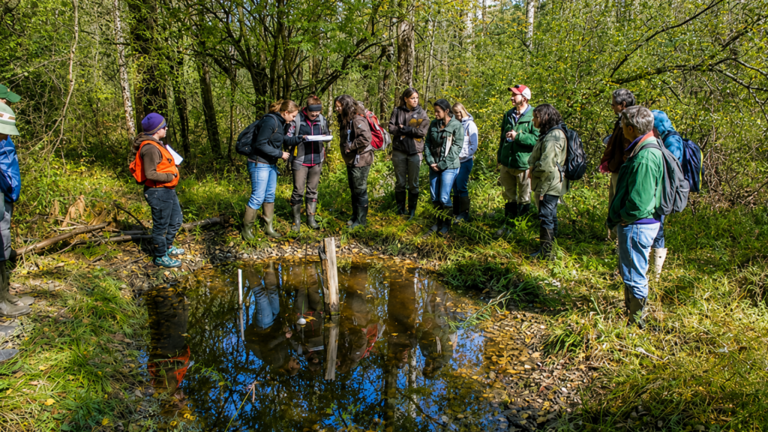 Iowa restores 200 'vanished' lakes to save endangered fish and filter ...