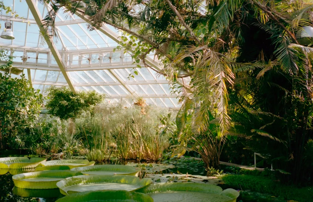6 stunning botanical gardens cultivating conservation and history