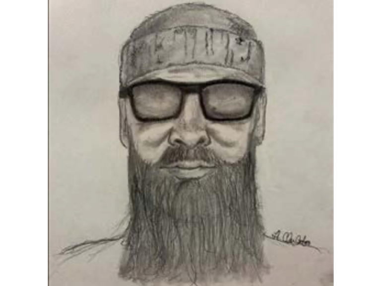 Woman sexually assaulted in Cook County Forest Preserves: Authorities