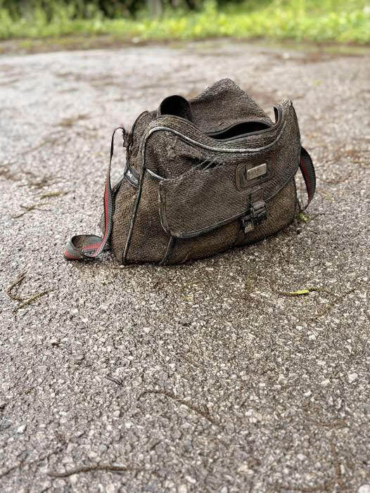 Animal control seeks answers after cats found dead in bag at ...