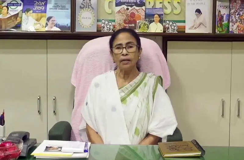Mamata stands by hawkers, slams BJP govt for 'oppression' & demolition