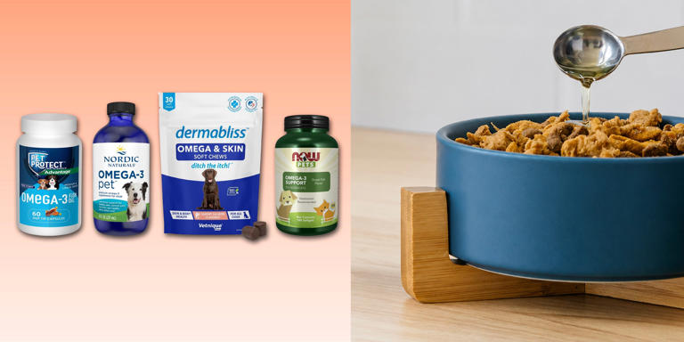 The best fish oil for dogs