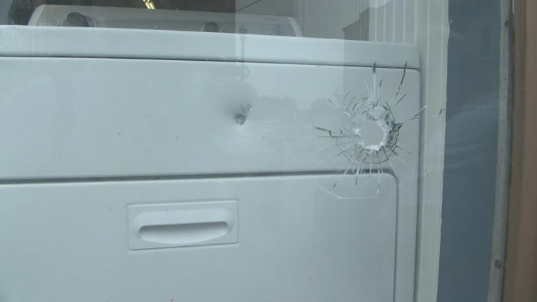 Business owner considers leaving Hamilton Avenue after shooting damages ...
